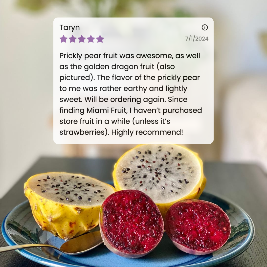 Prickly Pear Cactus Fruit is Back 🌵 – Miami Fruit