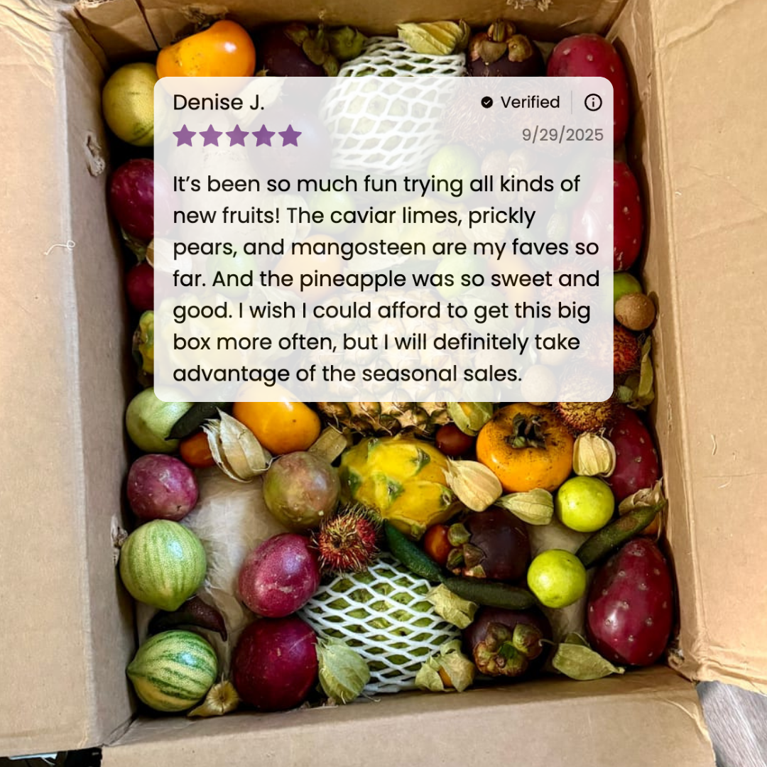 Black Friday Early Access SALE! 🖤 40% Off – Miami Fruit