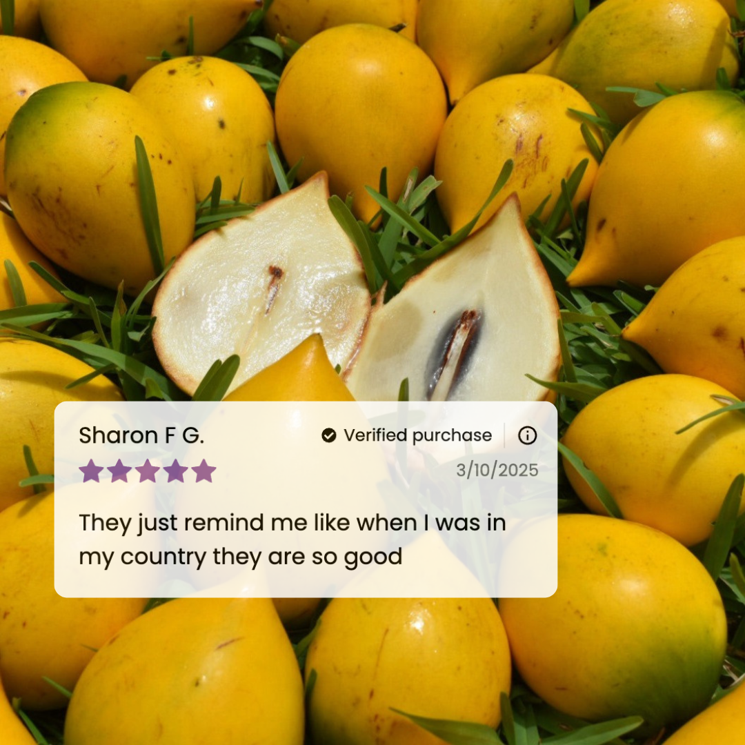 💛 Fruit of the Week: Abiu! 💛 – Miami Fruit