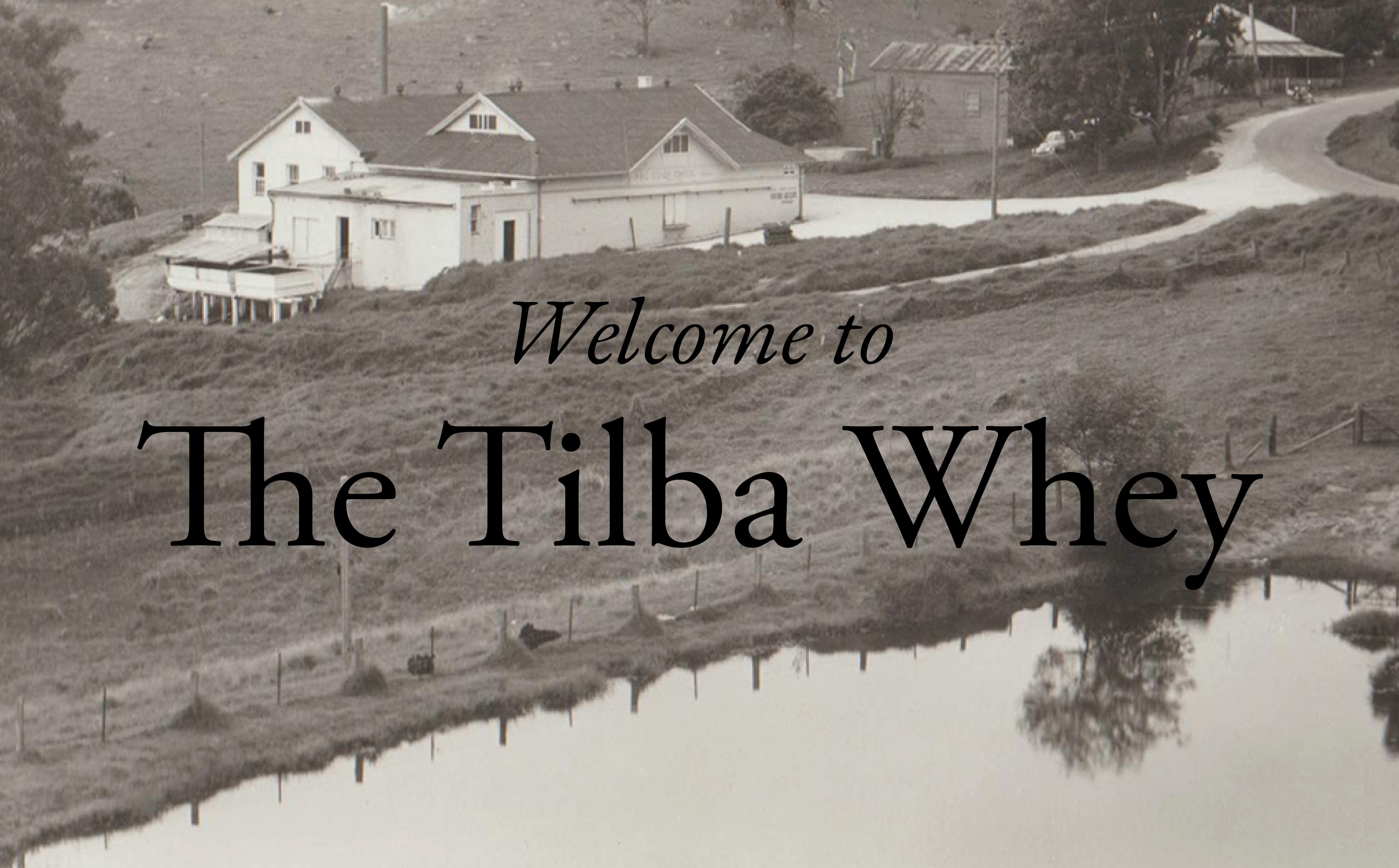 1 Litre Full Cream Unhomogenised Jersey Milk – Tilba Dairy