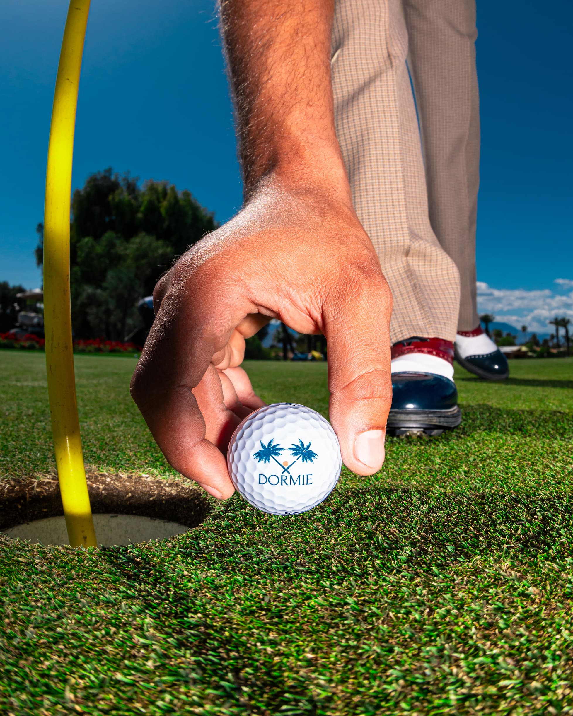 The Designated Hitter – Dormie Golf Workshop USA Inc