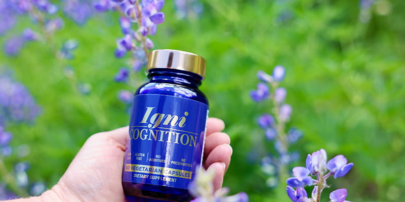 One Breakthrough. Two Products. – Igniton