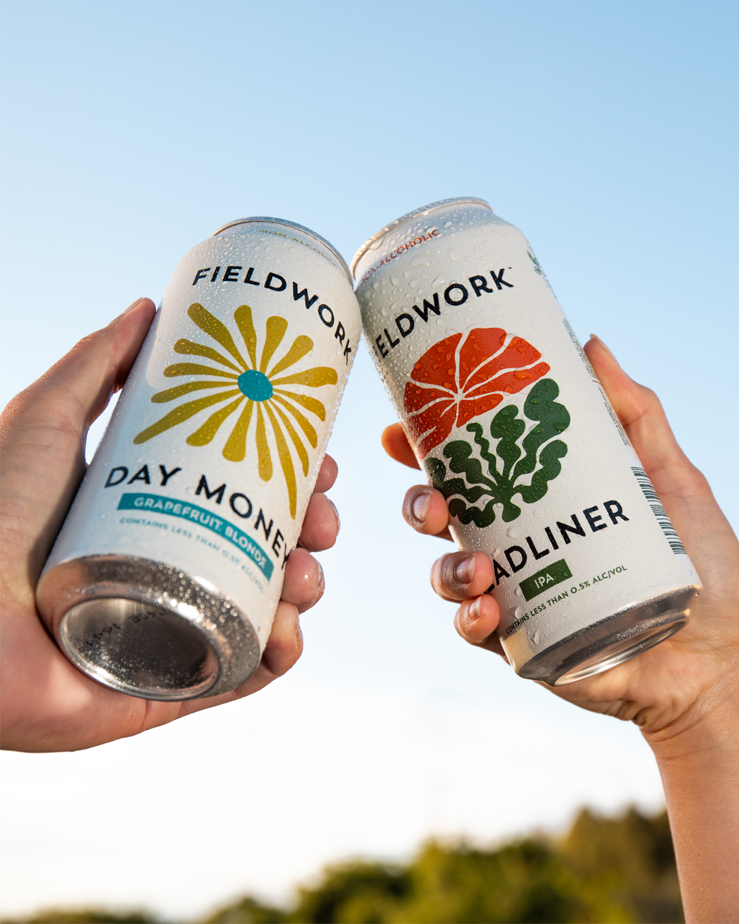 Non-Alcoholic Beer – Fieldwork