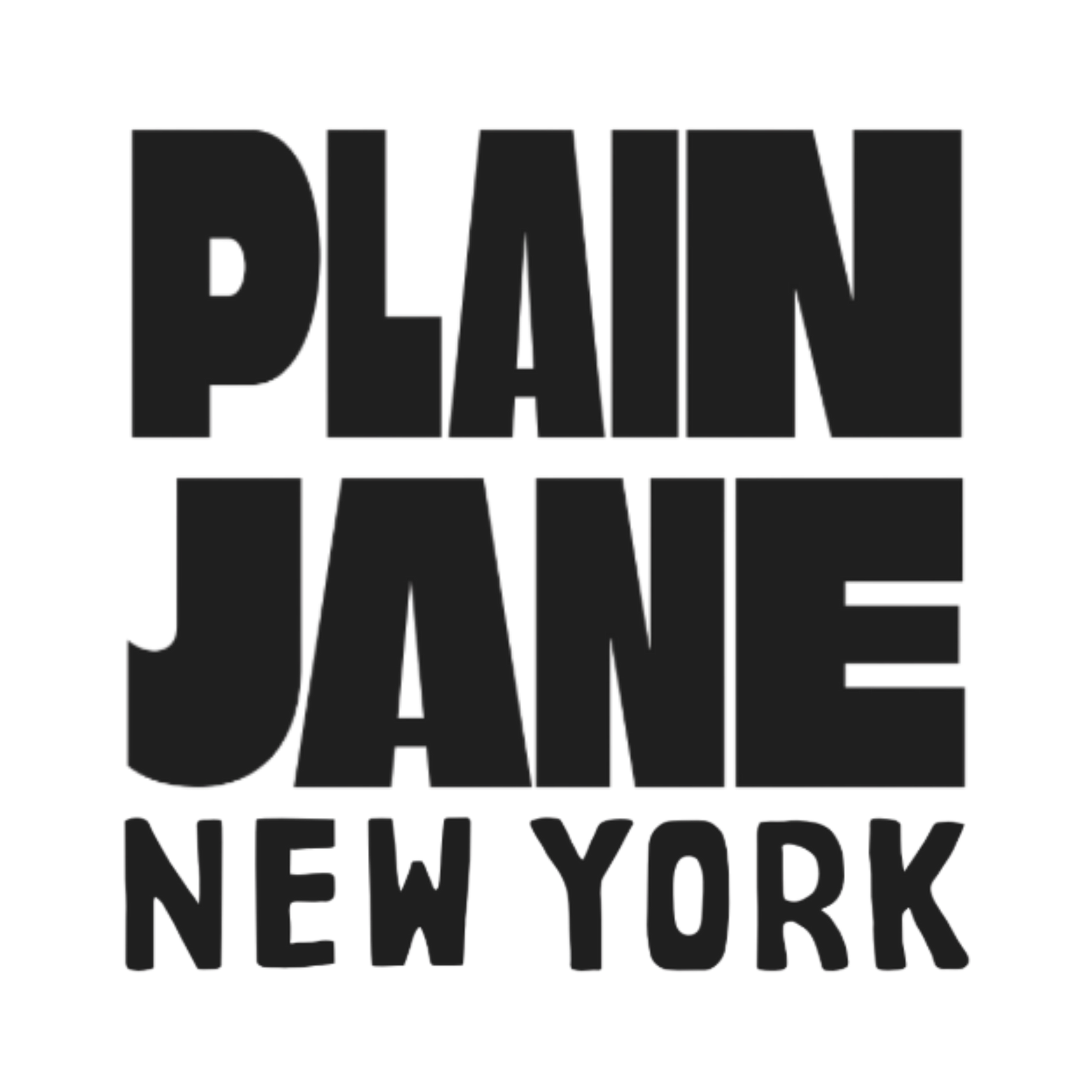 Plain Jane New York | The Perfect American-made White T-Shirt