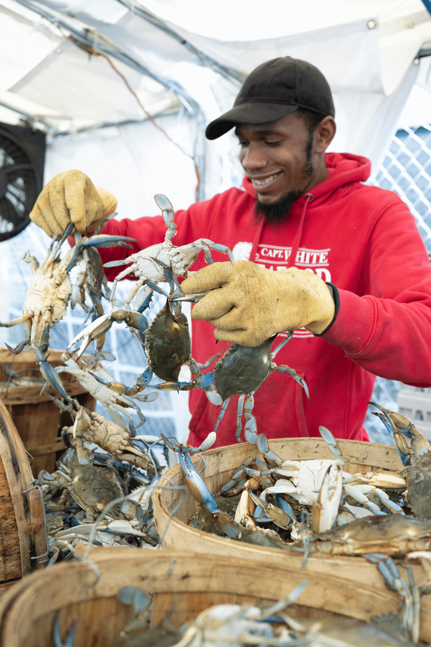 Location and Hours – Captain White's Seafood
