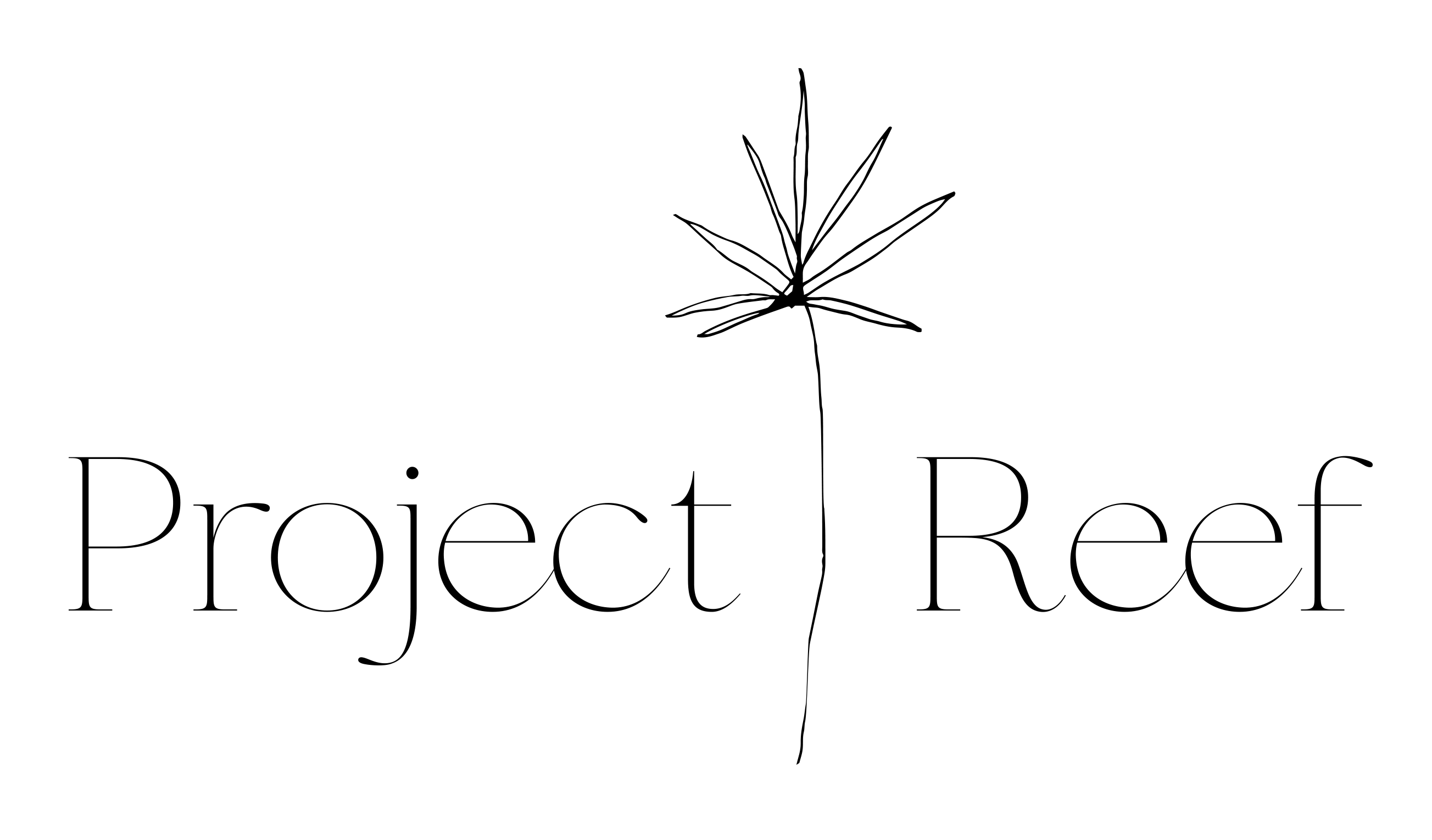 Wholesale Application – Project Reef