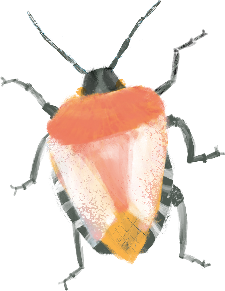 Dopluis bestrijden en herkennen | Insect Heroes België