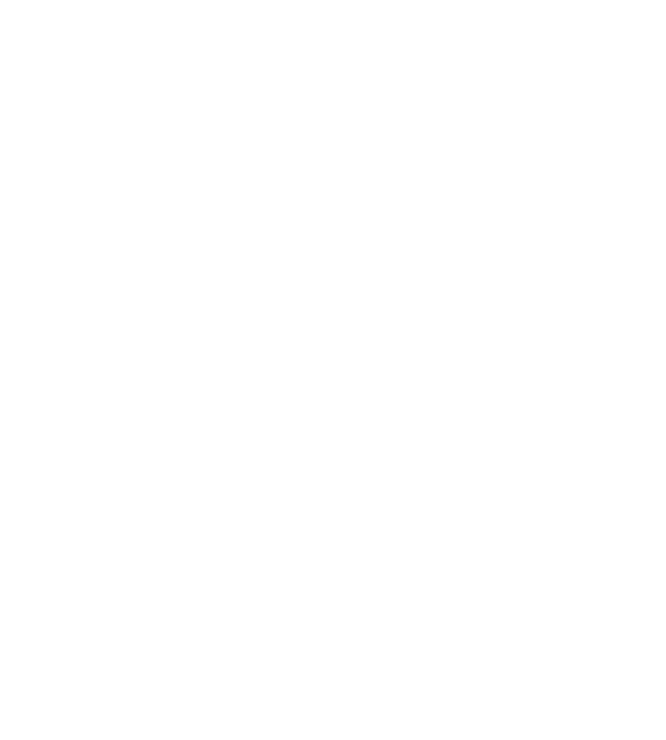 Laptop Sleeves + Inserts – Rachel Barri Designs Inc.