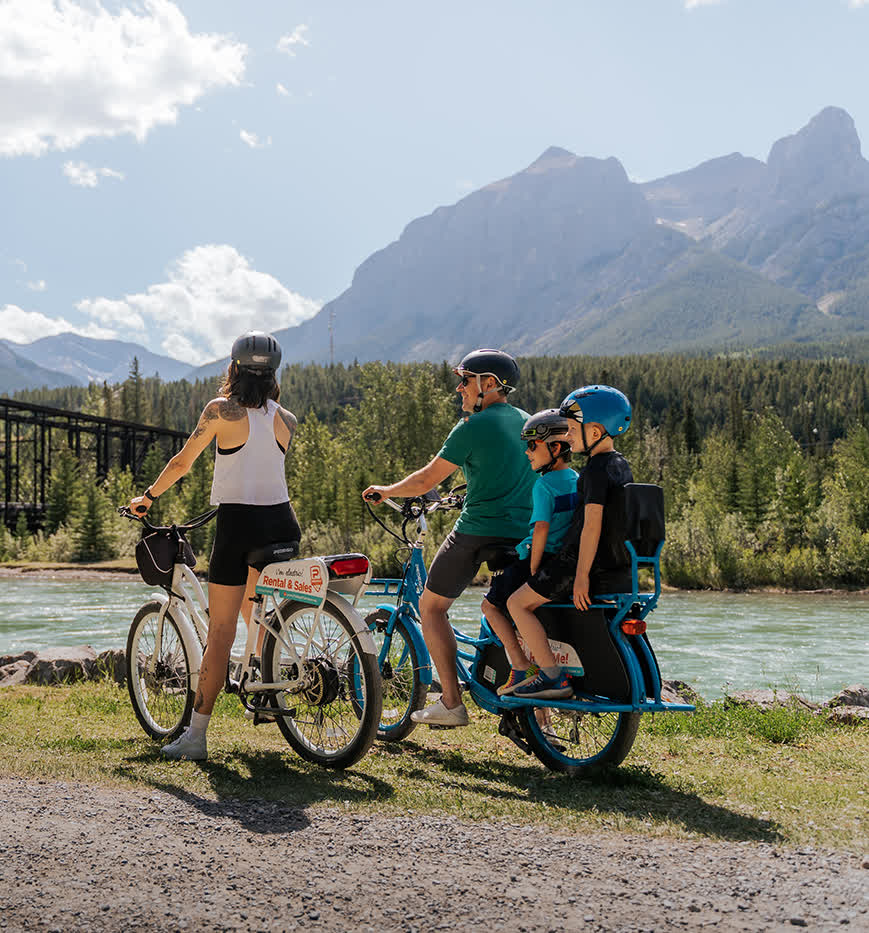 Element V1 Rear Rack – Pedego