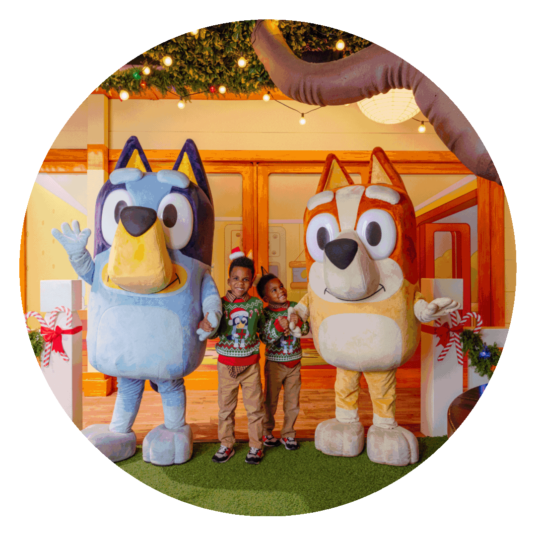 This Is How You Do a Day Off 🥳 - camp Newsletter | BrandsNinja ...