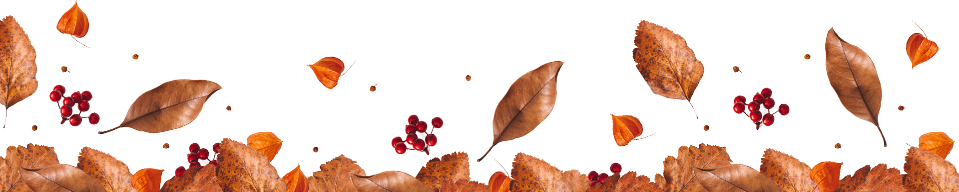 -The McFarlane Family