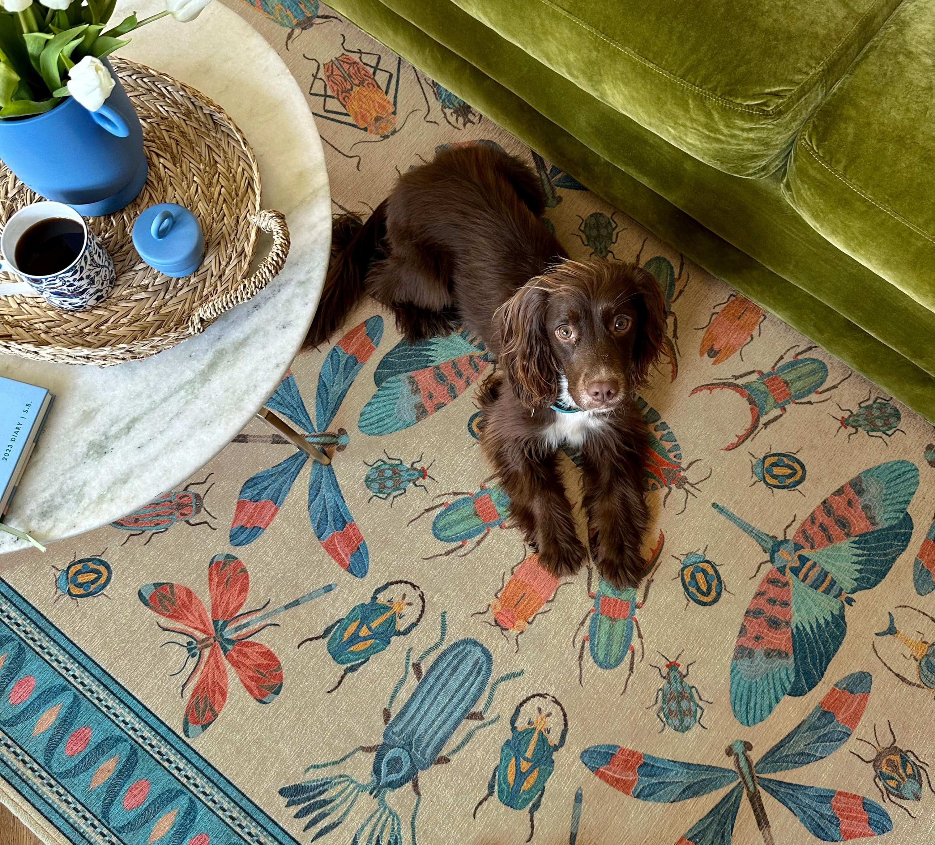 Washable Area Rugs, Runners & Round Rugs | Ruggable