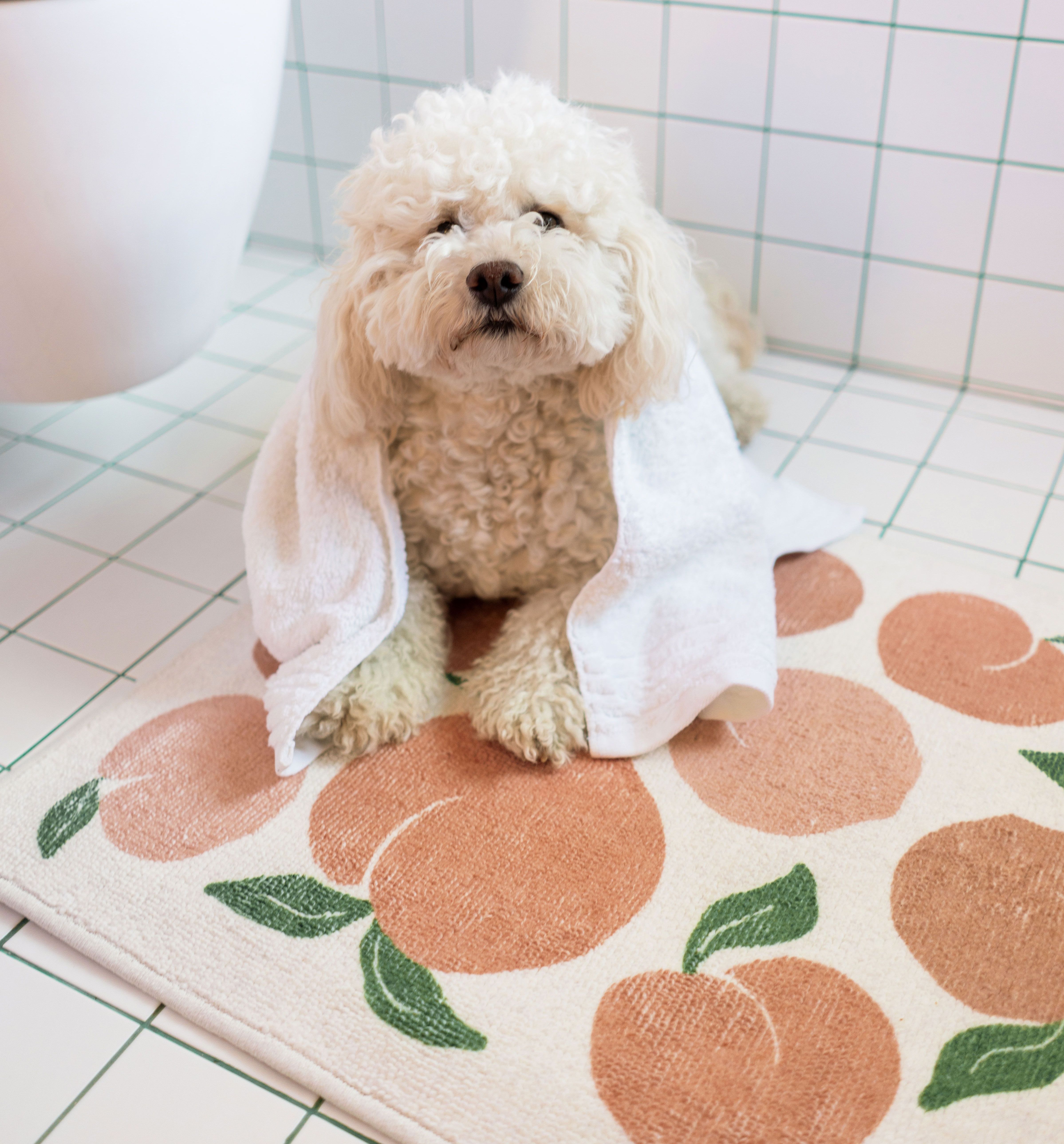 Washable Area Rugs, Runners & Round Rugs | Ruggable