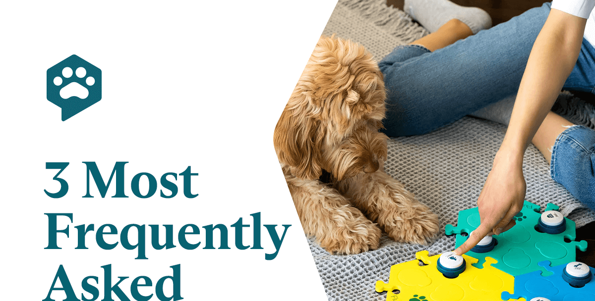3 Most Frequently Asked Questions - Fluent Pet 3 Most Frequently Asked Questions - Fluent Pet