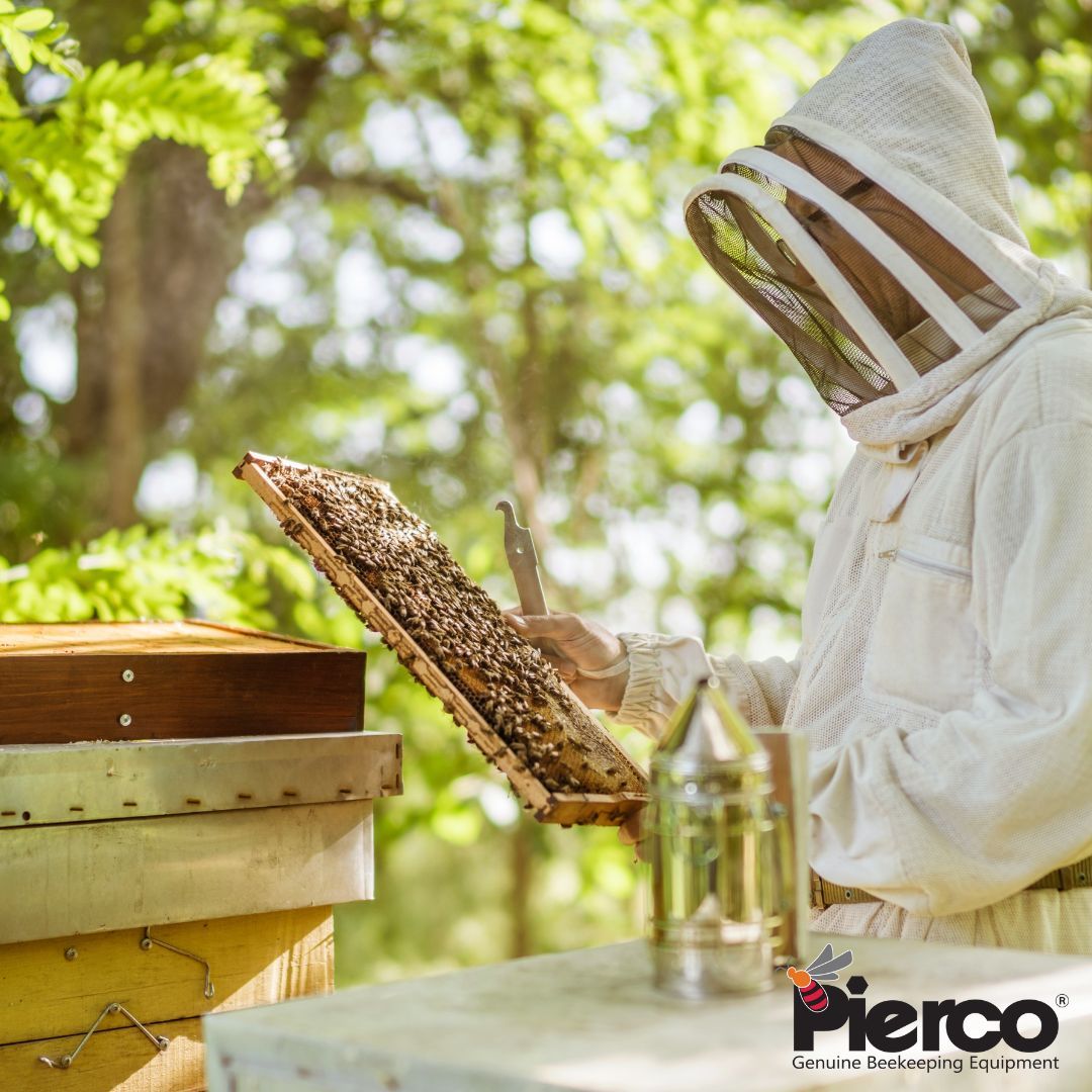 10 Frame Assembled Honey Super With Plastic Frames – Pierco