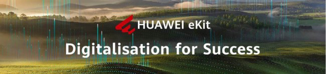 Digitalisation for Success with