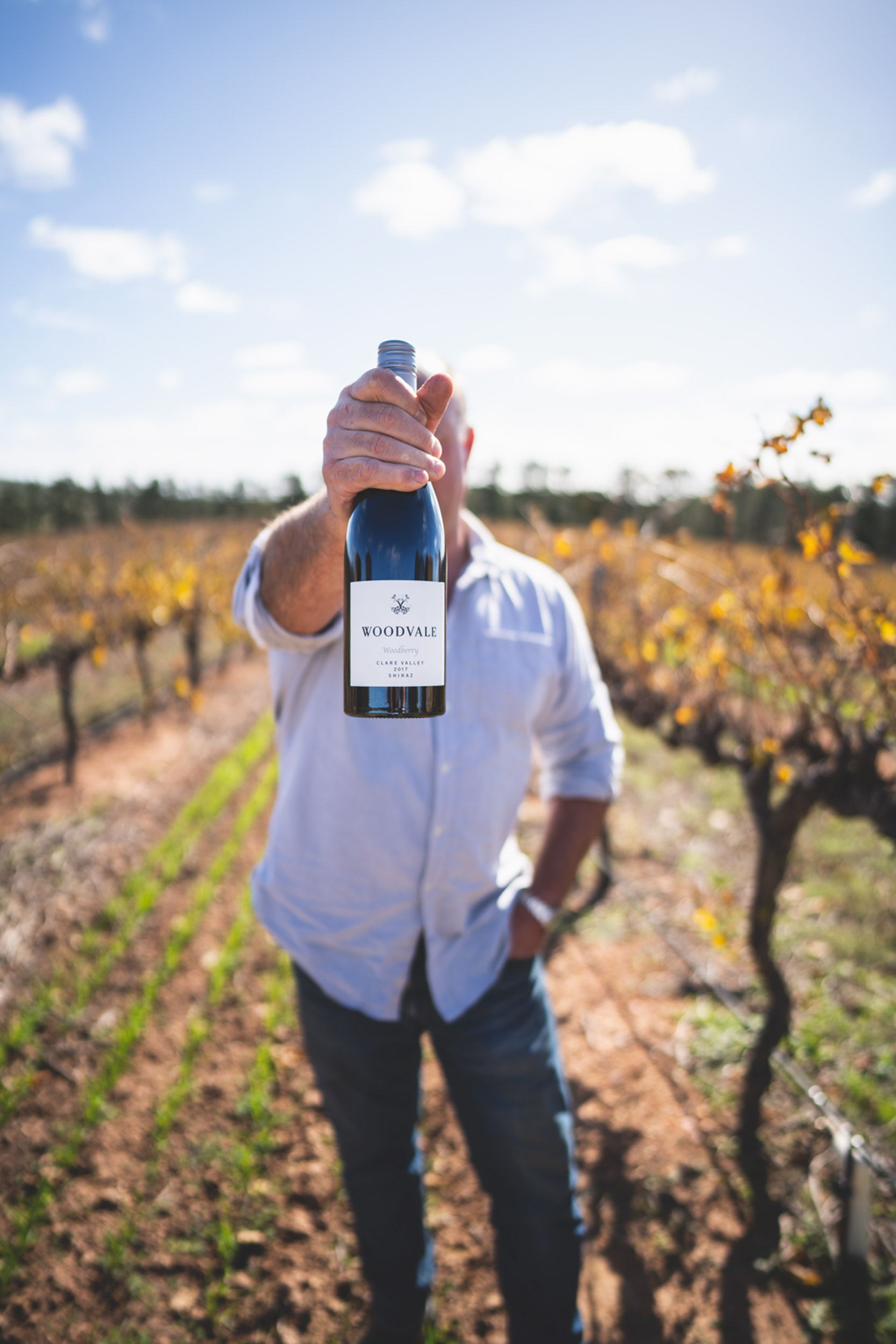 Red Wines | Woodvale Vintners | Online Shop