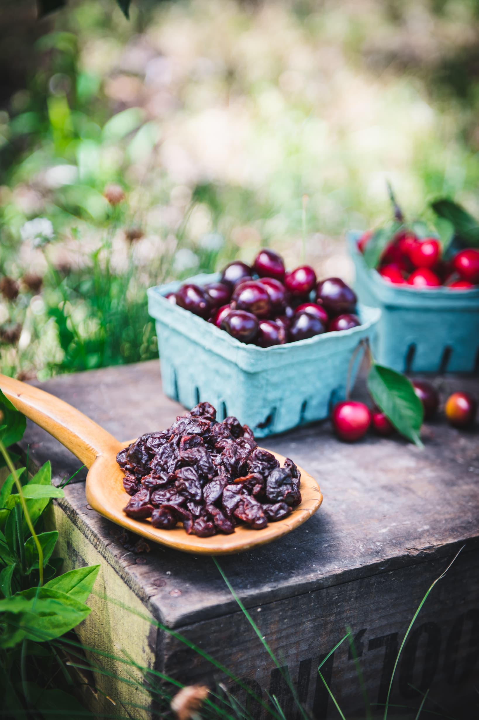 unlock 10 % off sitewide continue offer valid when you spend $ 50 or ...