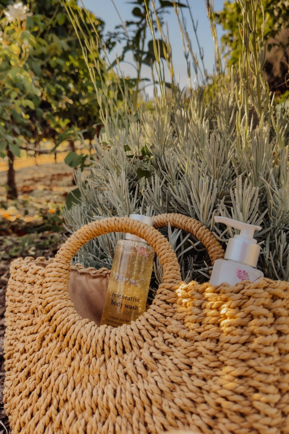 Restorative Body Care Collection – Vineyard Morning Natural Body Care