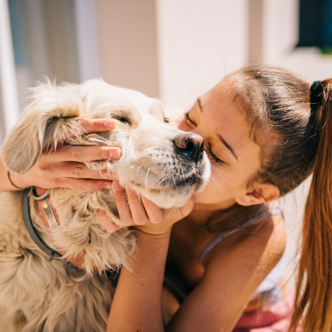 About Dogs – Aralis Animals