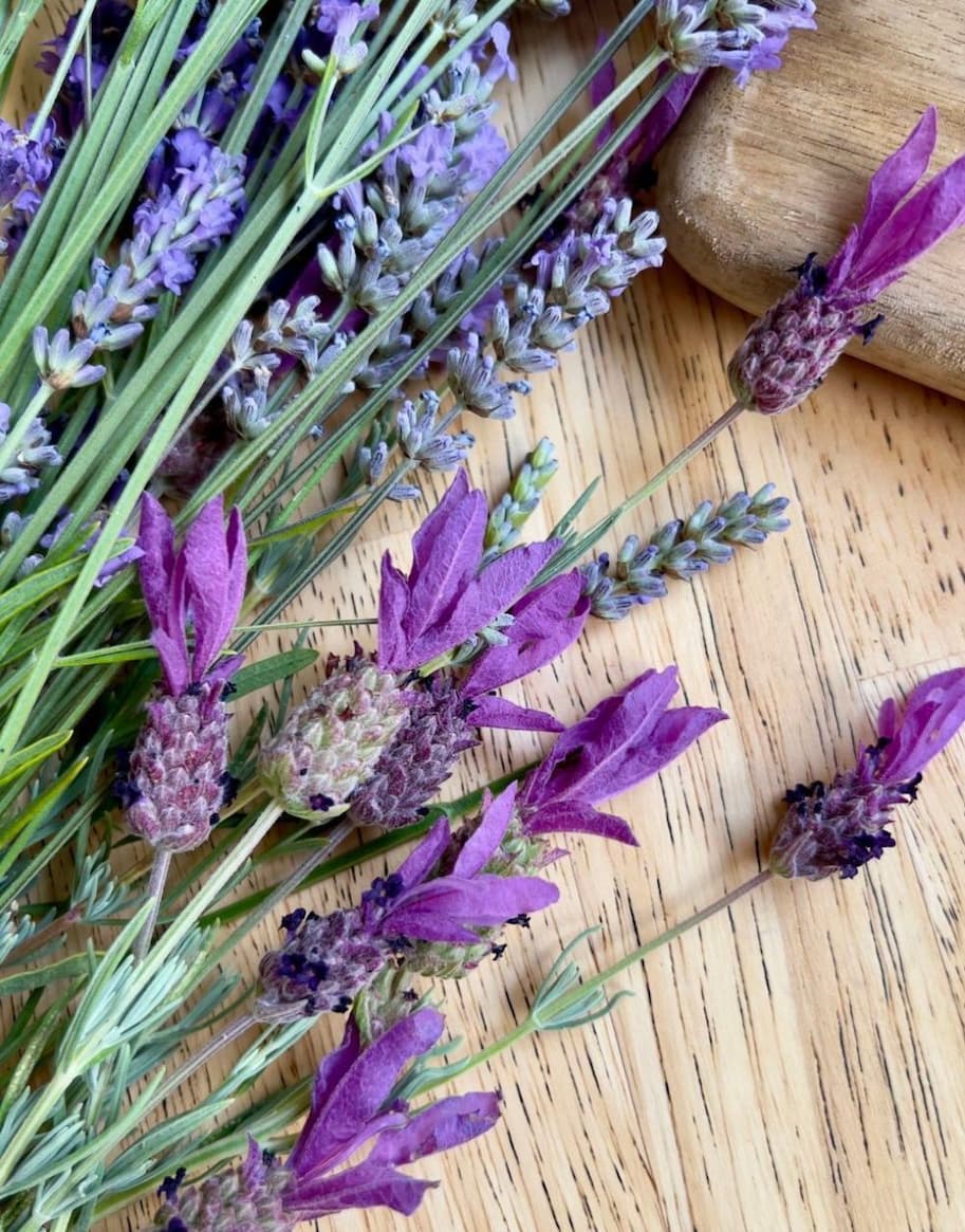 Collections – The Lavender Store