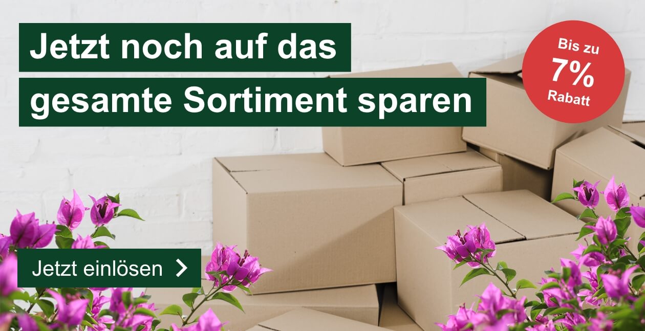 Sparen Sie auf das gesamte Sortiment