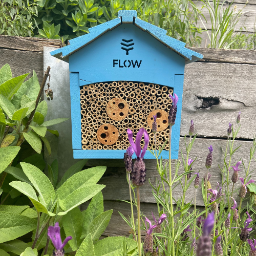 Ready to learn about solitary nesting bees AND support pollinators ...