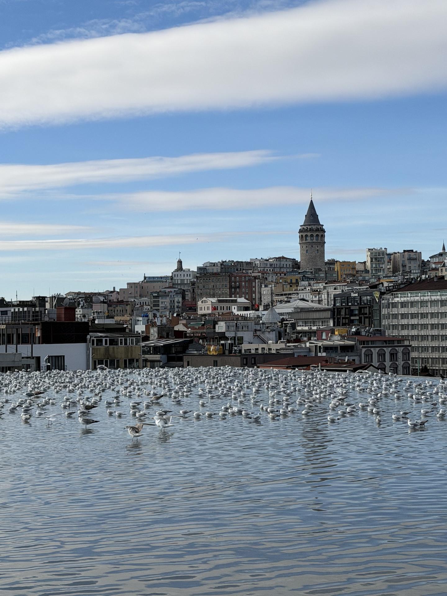 Everyday Boots in Istanbul 🇹🇷 - sabah Newsletter | BrandsNinja ...