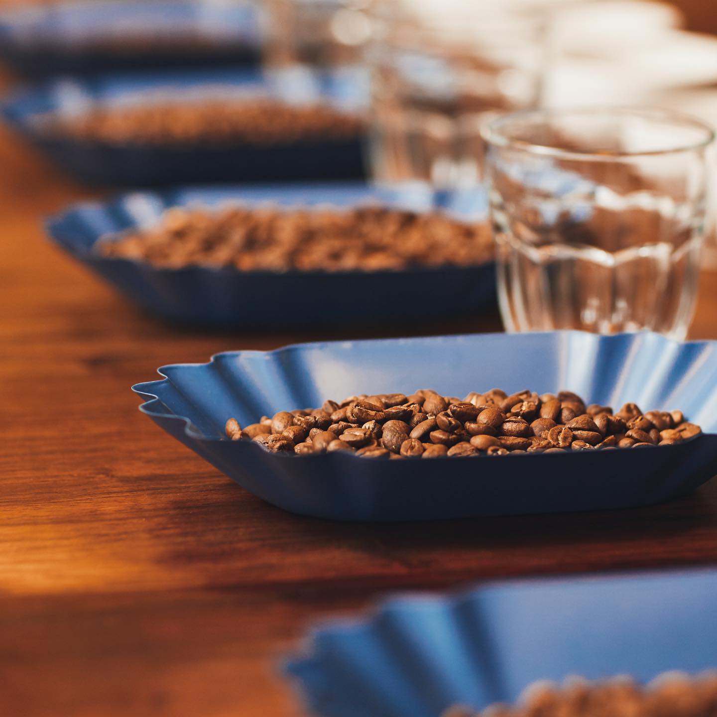 Brew Guides – Rosetta Roastery