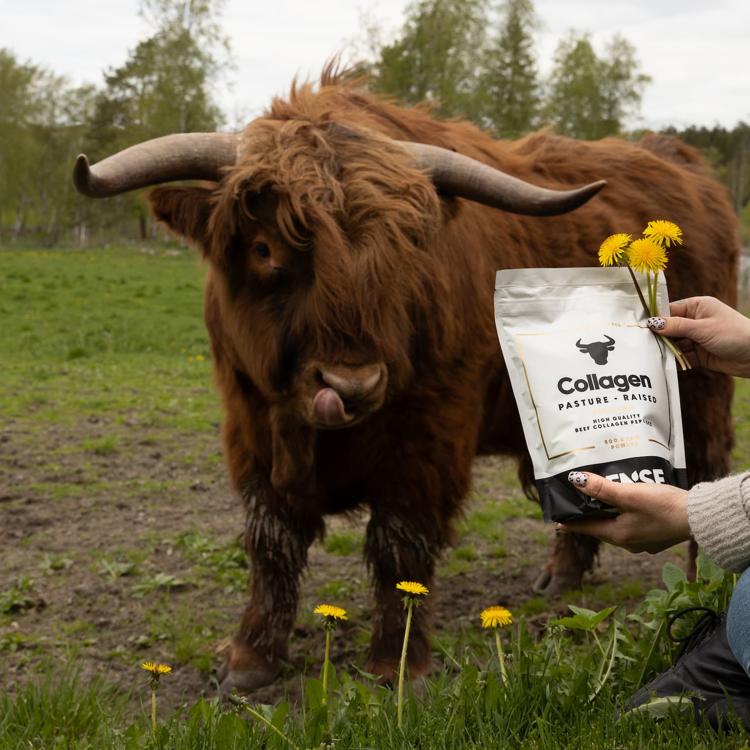 Luonnolliset proteiinit – Puhdasta ravintoa kehollesi | Paleokauppa.fi