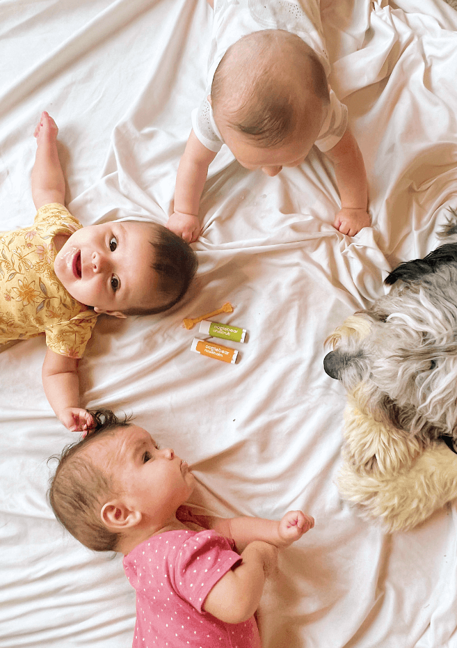 oogiebear 360° Teether - Safe & Soothing Teething Relief