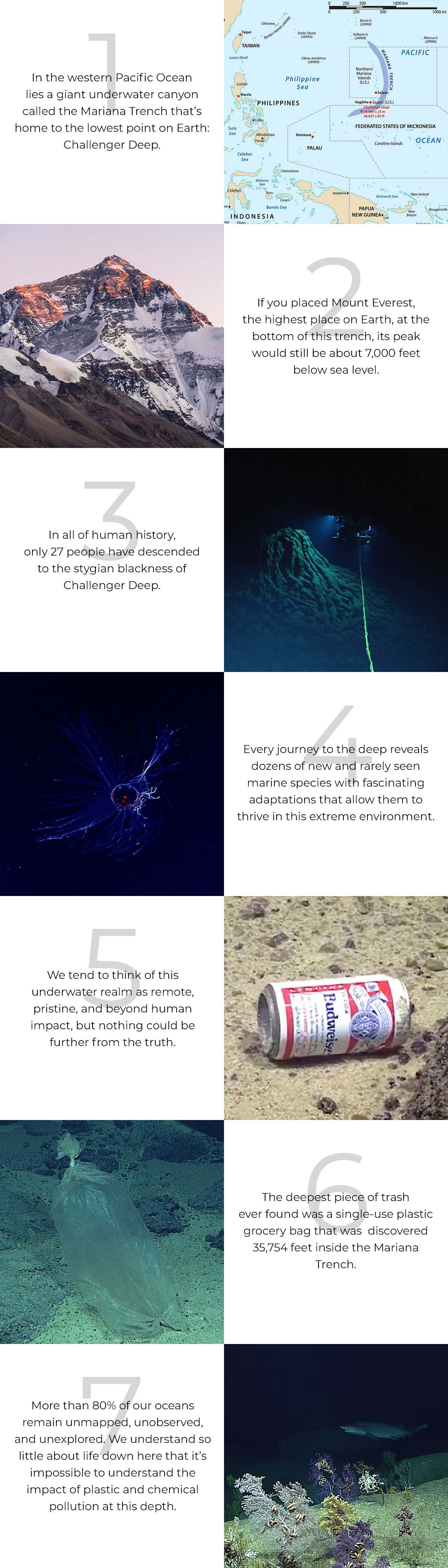 How deep is the ocean plastic crisis? - 4ocean