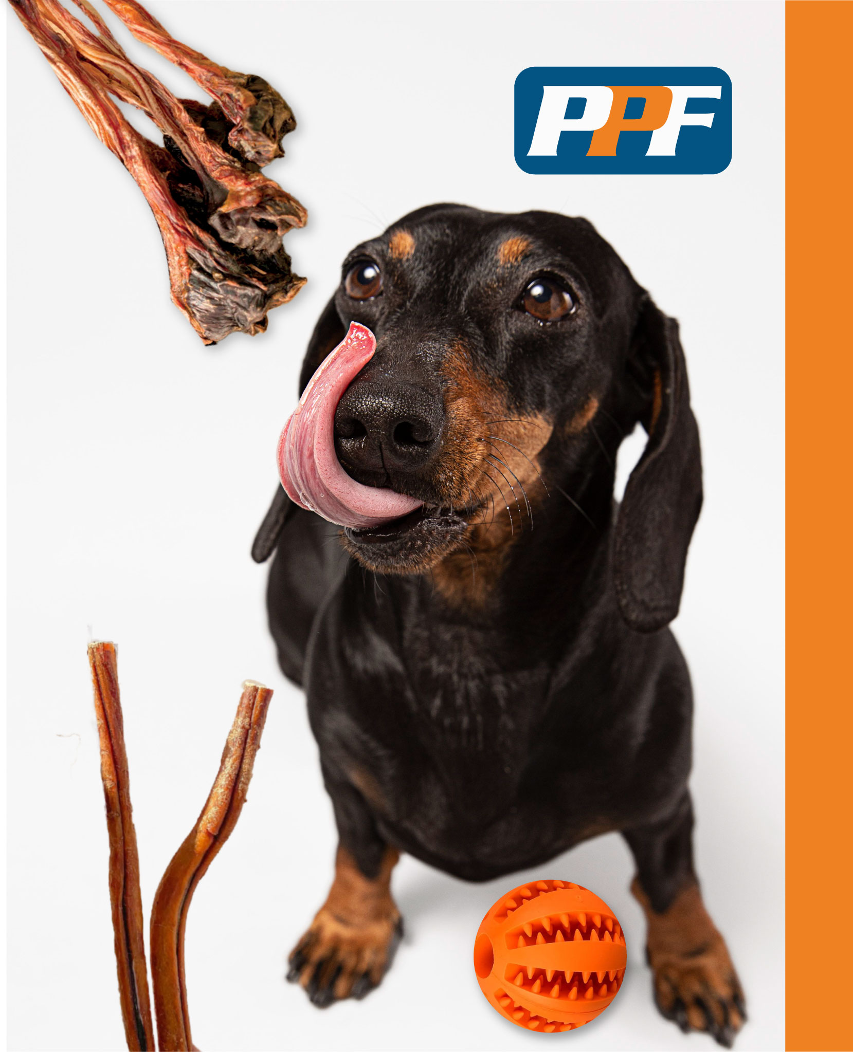 Contact Us – Performance Pet Foods