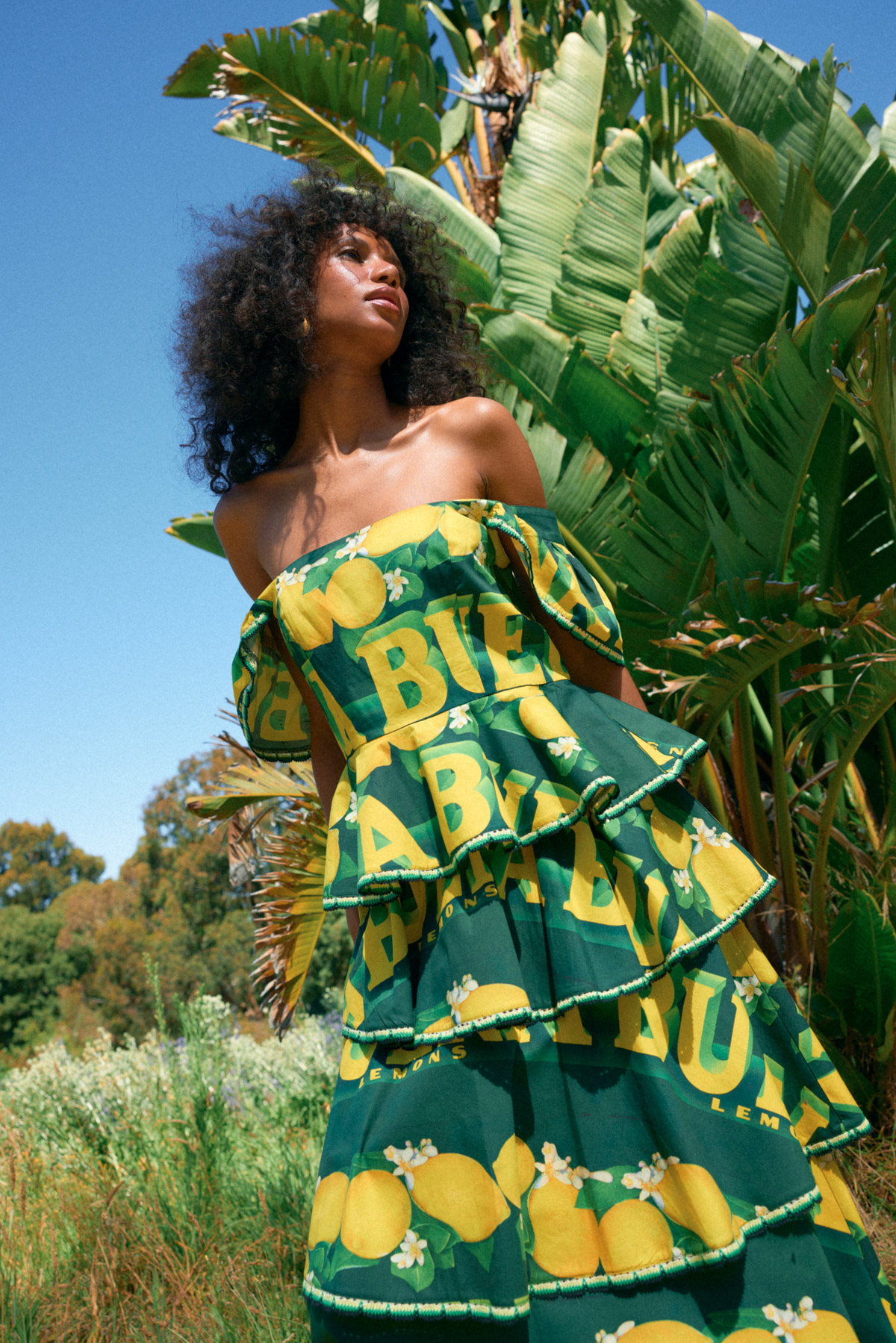 Collections – Binny