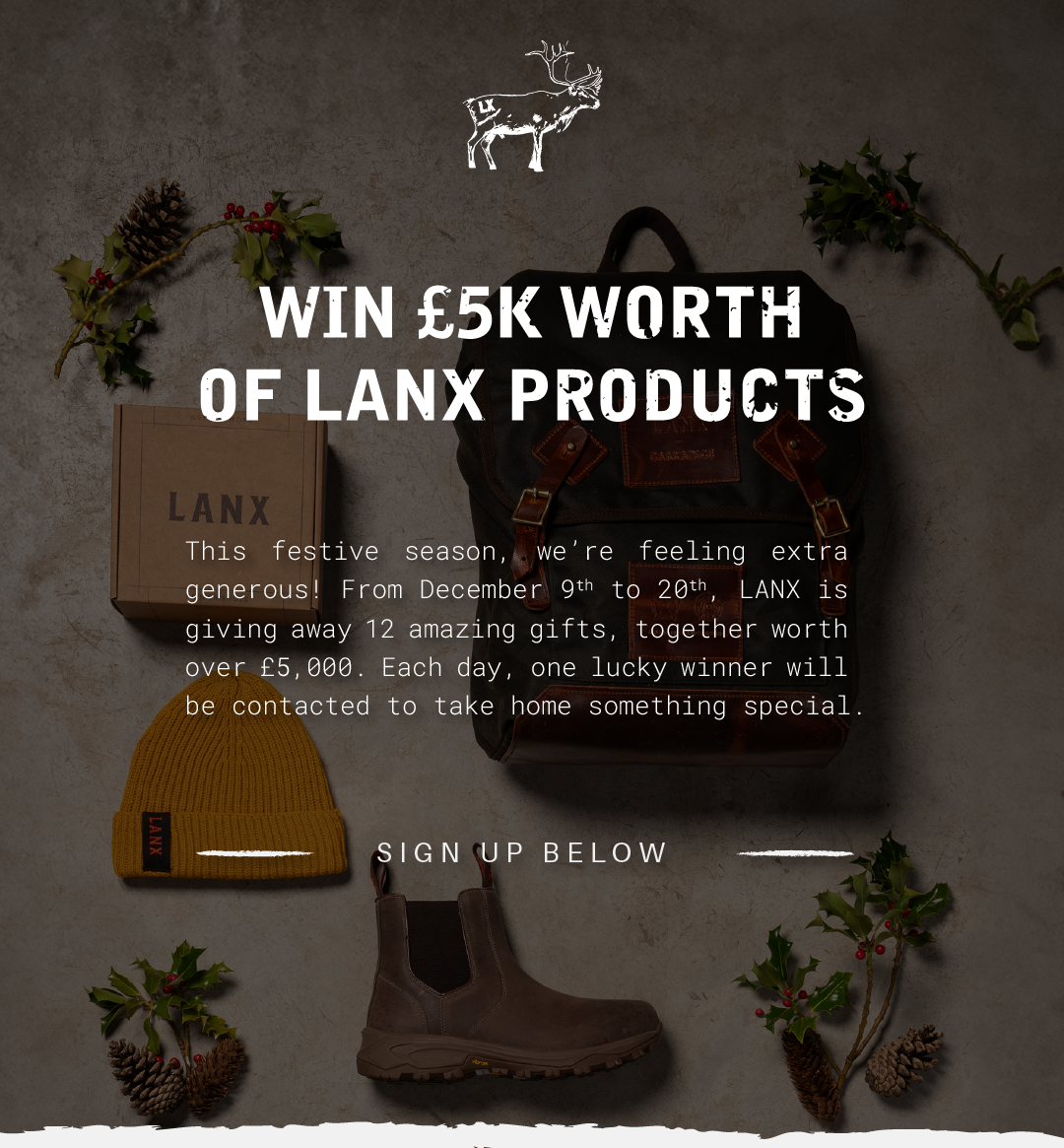 A: 08/12 Lanx Shoes (open now) — MoneySavingExpert Forum