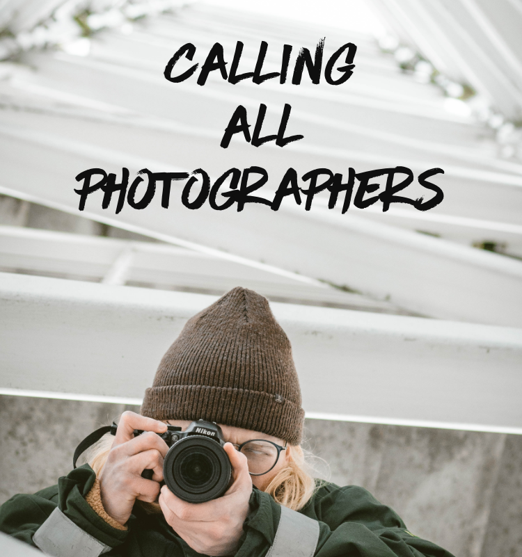 Cruising USA Submissions – Solé Bicycles