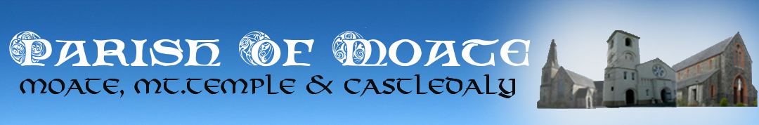Edition 16 [ 15th/16th August ] - Moate & Castledaly Newsletter [ http ...
