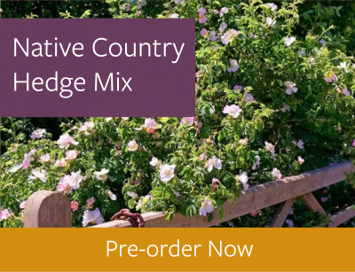 Native Country Hedge Mix